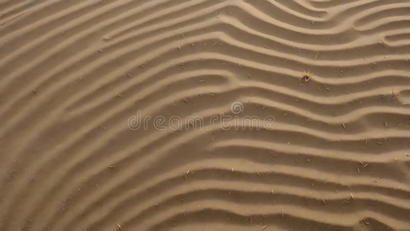 Tranquil Beach: Textured Sand with Subtle Undulations and Calm Surface ...