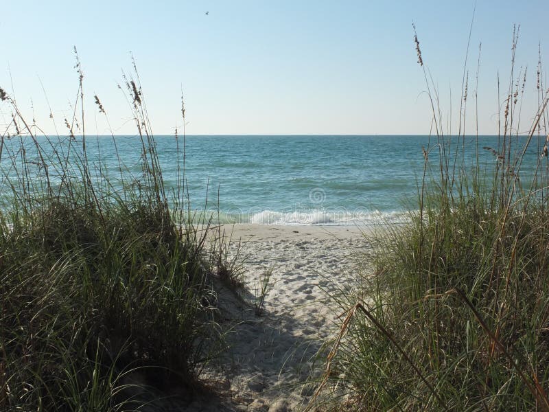 Tranquil Beach stock image. Image of shoreline, waterside - 51763161