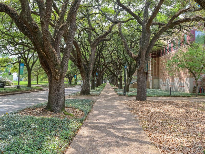 Tranquil Beauty: Cloudy Day at Rice University Houston Campus Stock ... Tranquil Beauty: Cloudy Day at Rice University Houston Campus Stock ...