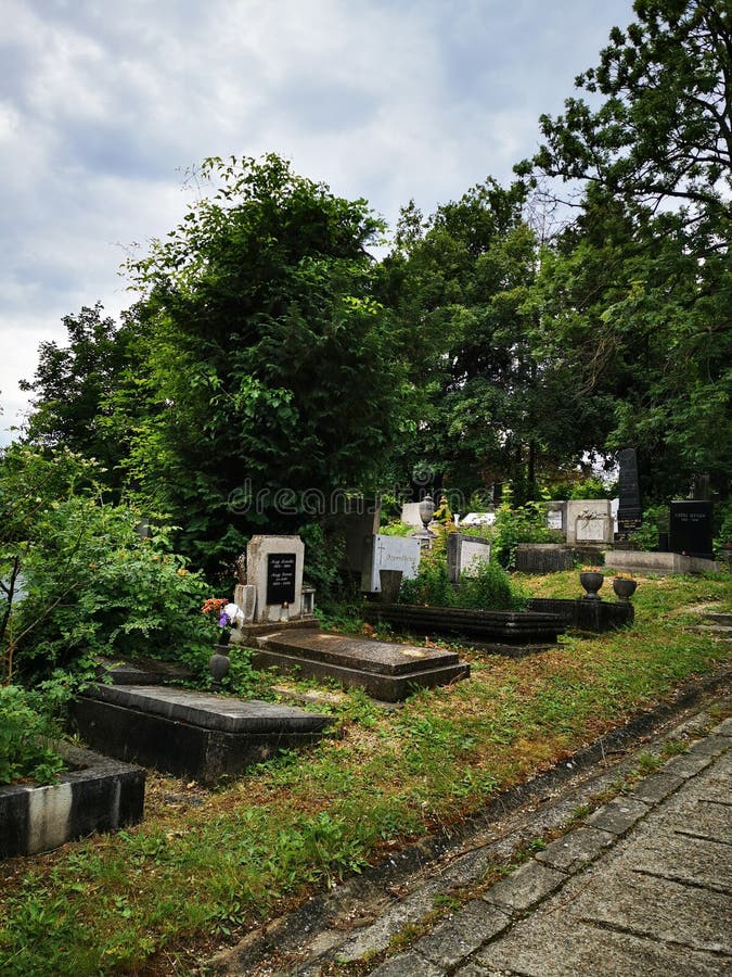 A Tranquil Cemetery Landscape with Overgrown Graves Under a Cloudy Sky in a Quiet Location ...
