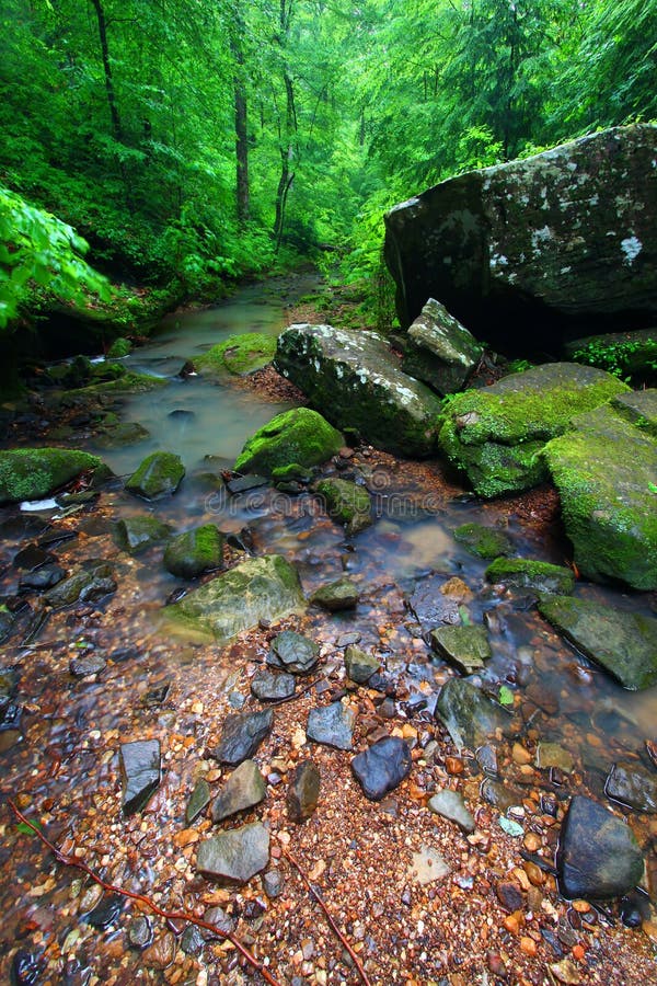 Tranquil Creek Scene in Alabama Stock Image - Image of colbert, riffle ...