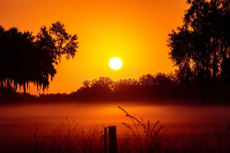 Tranquil Farm Landscape at Sunset, with an Orange Sky and a Rolling ...