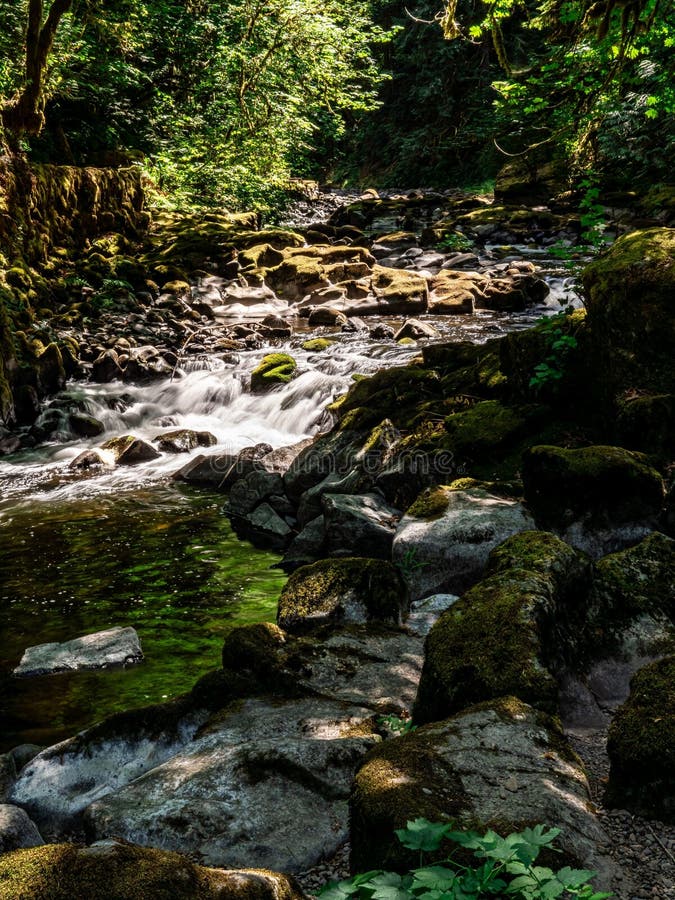 A Moss Covered Stream Flows among Large Rocks in the Woods Stock Image ...