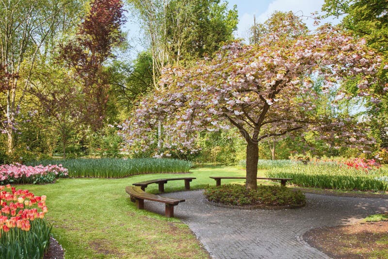 Park in the Spring stock photo. Image of leaf, landscape - 109793608