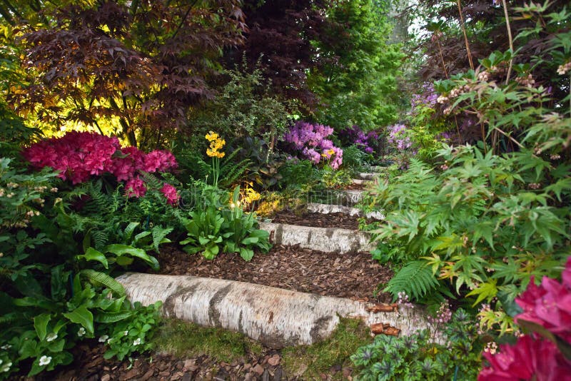 Tranquil garden landscape stock photo. Image of timber - 44278044