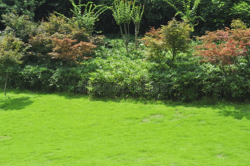 Tranquil garden stock image. Image of garden, back, mansion - 43953905