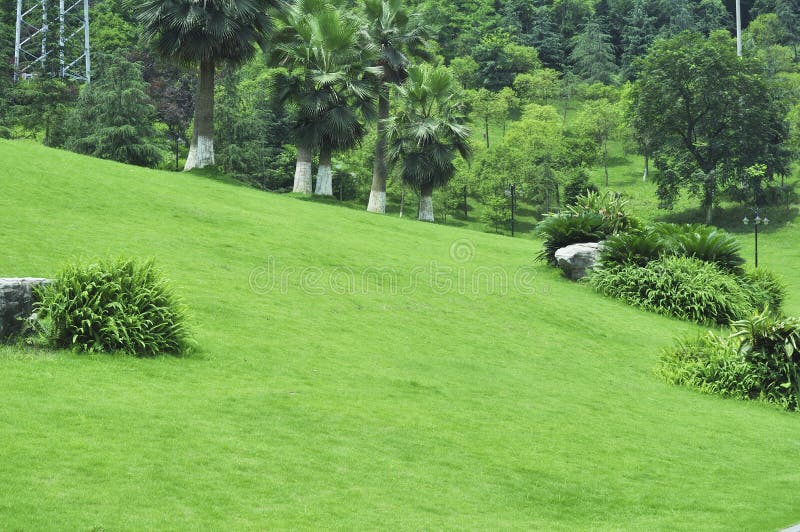 Tranquil garden stock image. Image of grass, land, lush - 43953911