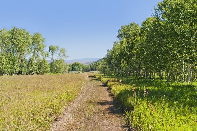 A Tranquil Green Country Scene with a Path Leading through the Grass ...