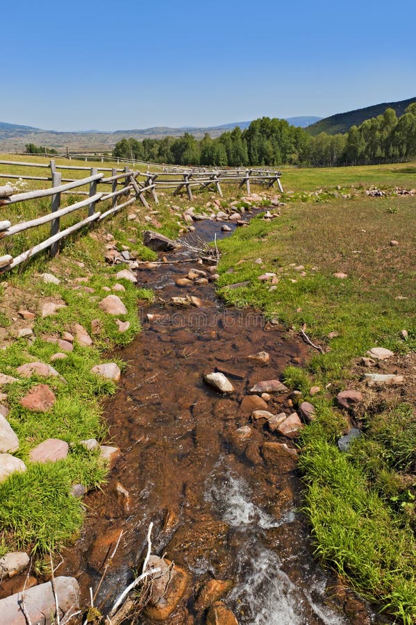 A Tranquil Green Country Scene with a Field Full of Small Flowers and ...
