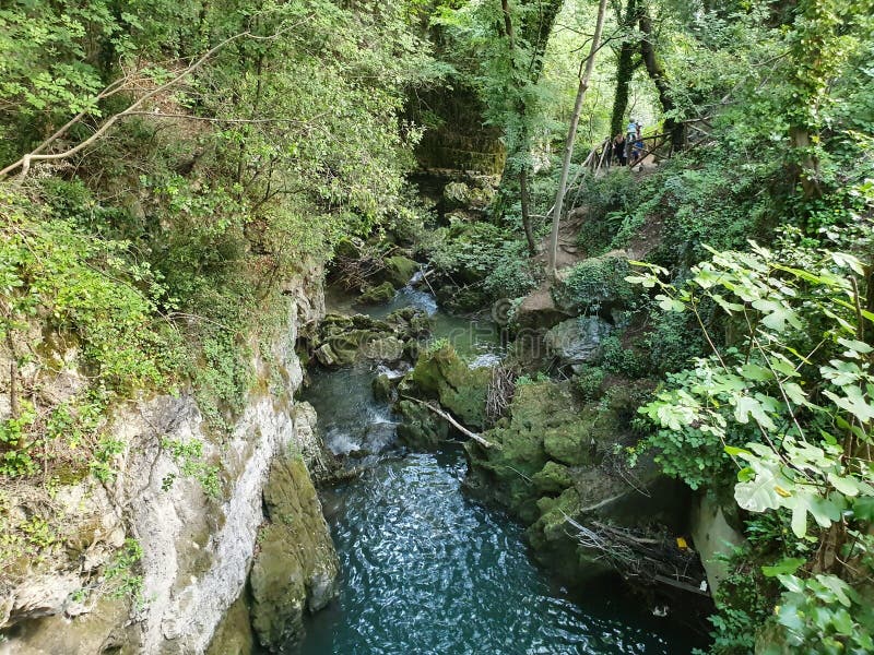 Tranquil and Idyllic Scene of a Stream Flowing through a Lush Green ...