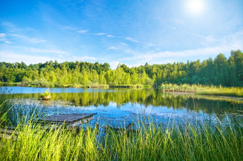 Clean Lake in Green Spring Summer Forest Stock Photo - Image of blue ...
