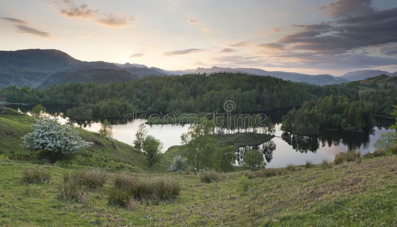 Tranquil Lake Scenery stock photo. Image of summery, grass - 35309040