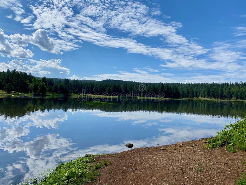 The Water is Still Calm by the Shore of a Lake Stock Photo - Image of ...