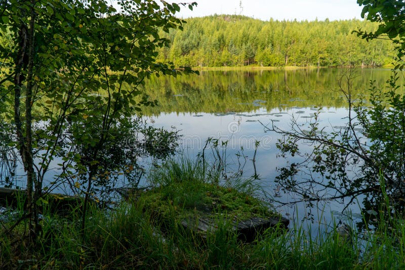 Wild Karelian Lake in Forest Water Reflection Stock Image - Image of ...