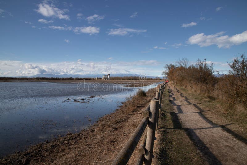 Tranquil Lakeside Path Under a Clear Blue Sky Stock Image - Image of ...