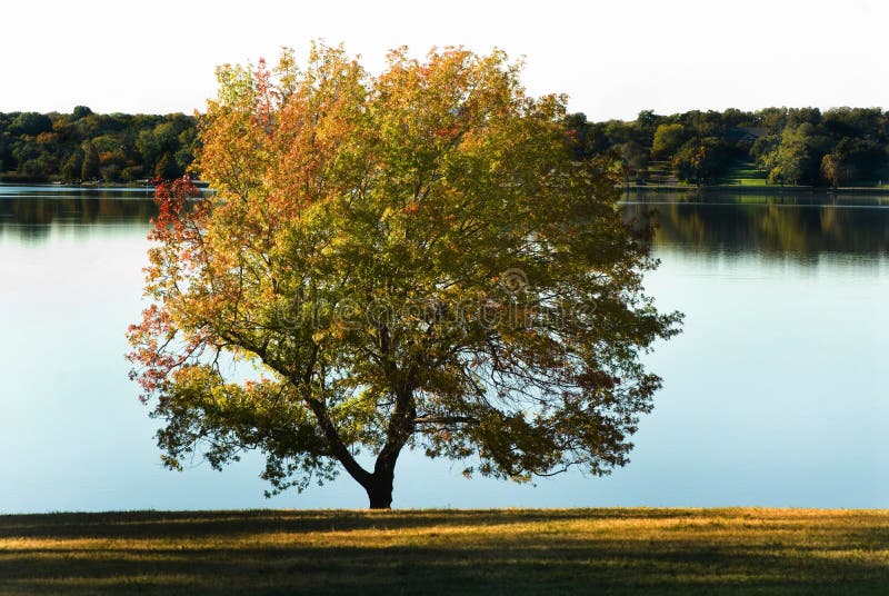 Lakeside View during Winter, Where Snow Blankets the Surroundings ...