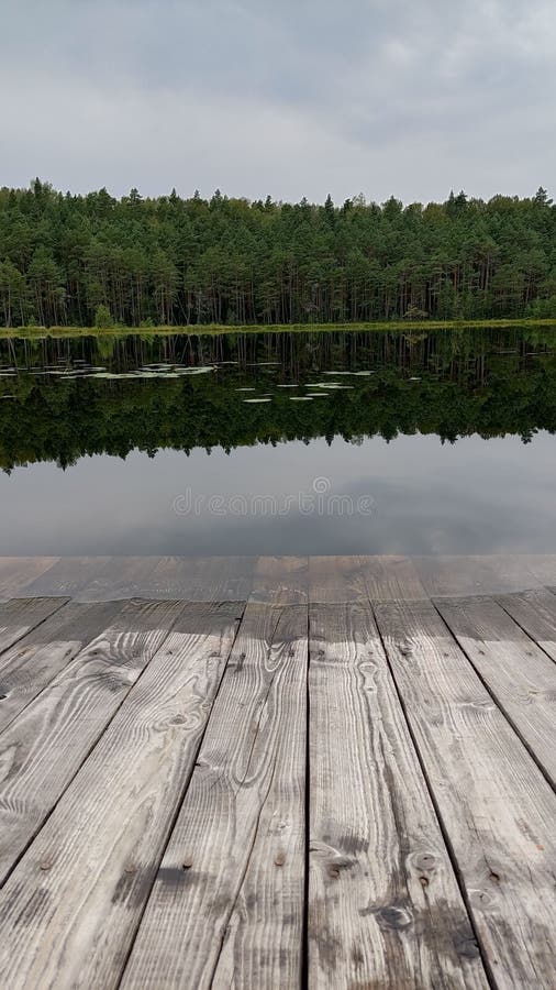 Tranquil Lakeside View with Wooden Pier and Lush Forest Under Overcast ...