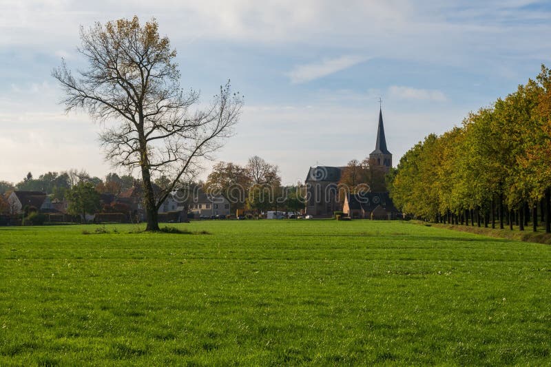 Tranquil Landscape Featuring a Rolling Green Field Dotted with Trees ...