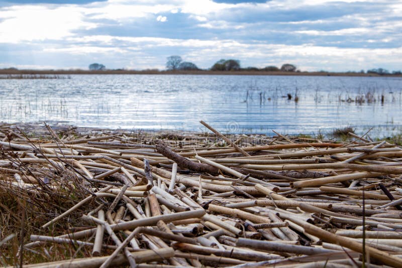 Tranquil Landscape Overlooking the Lake with an Island in the Distance ...