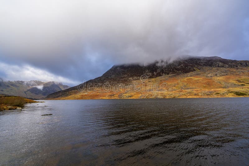 Brooding Cloud Canopy Stock Photos - Free & Royalty-Free Stock Photos ...