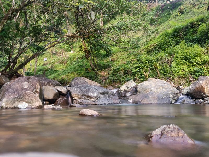 132 Serene River Landscape Lush Greenery Smooth Rocks Peaceful Nature ...