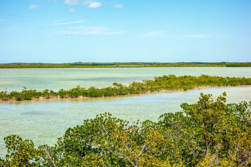 Tranquil Nature in Florida Keys Stock Image - Image of birds, life ...