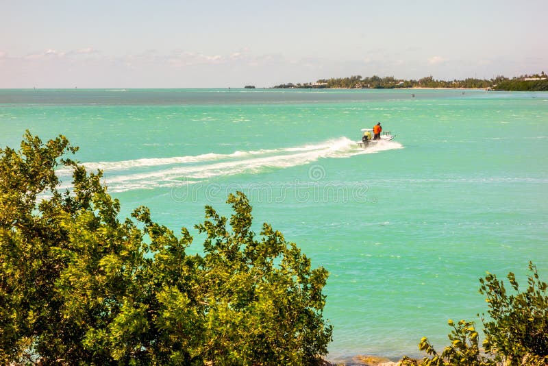 Tranquil Nature in Florida Keys Stock Image - Image of life, coastal ...
