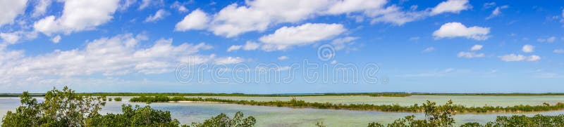 Tranquil Nature in Florida Keys Stock Photo - Image of beach, nature ...