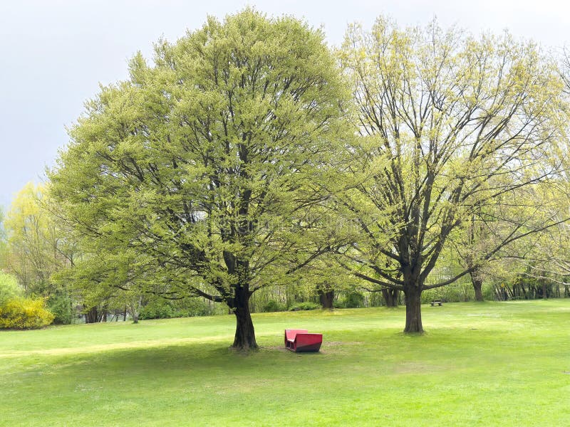Tranquil Park Scene Red Bench Under Lush Green Trees Stock Photos ...