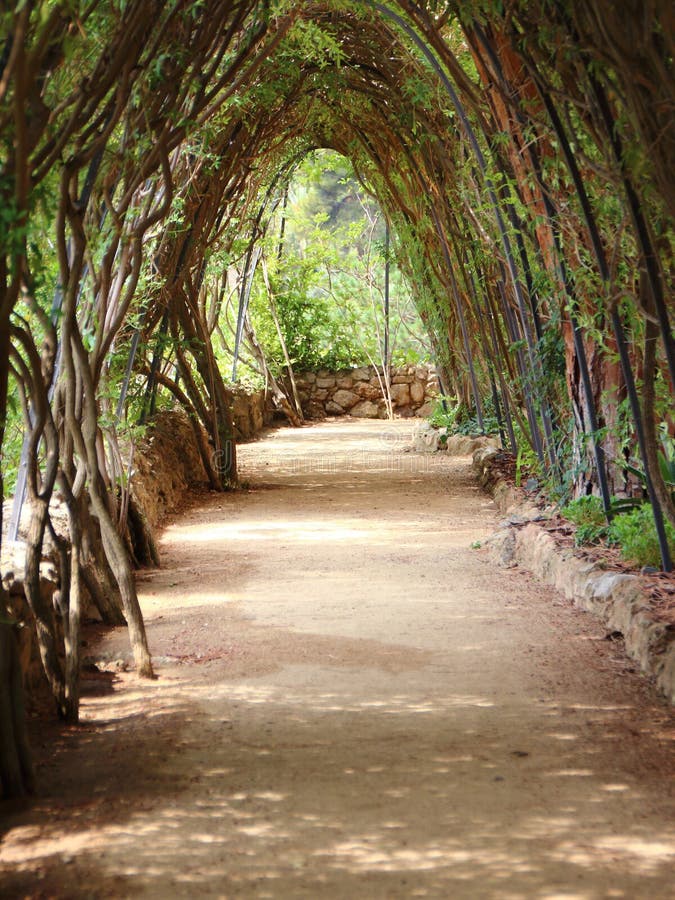 Tranquil Path Under Pergola with Braid Branches Stock Photo - Image of ...