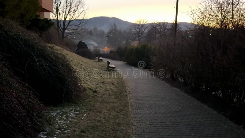 A Serene Pathway at Dawn, Unfolding Beautifully through Natures ...