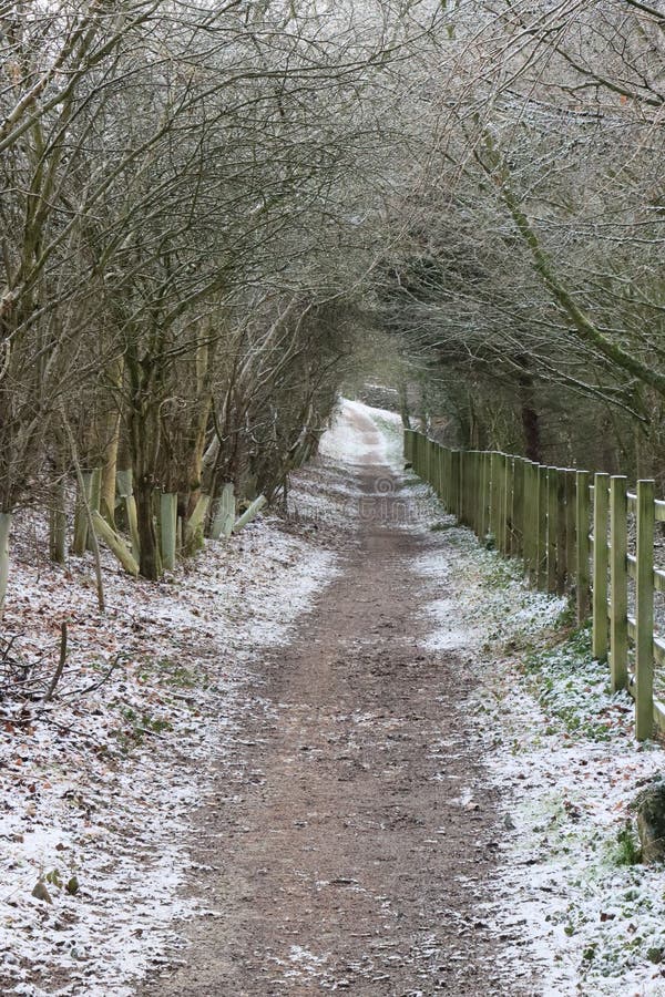 Tranquil Pathway in the Countryside is Lined with a Row of Trees on One ...