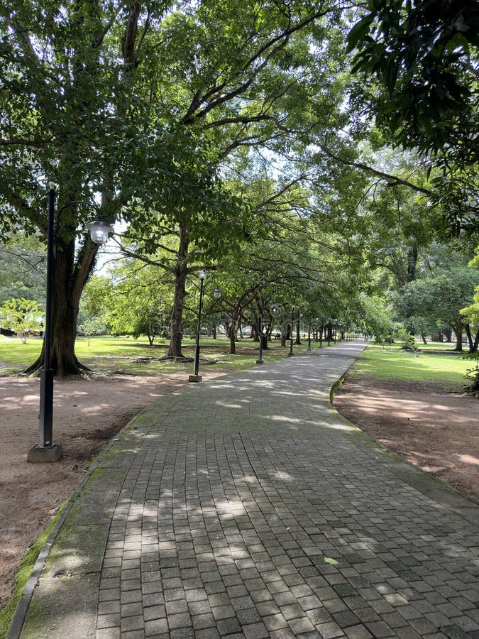 Tranquil Pathway at Vihara Maha Devi Park, Sri Lanka Stock Photo ...