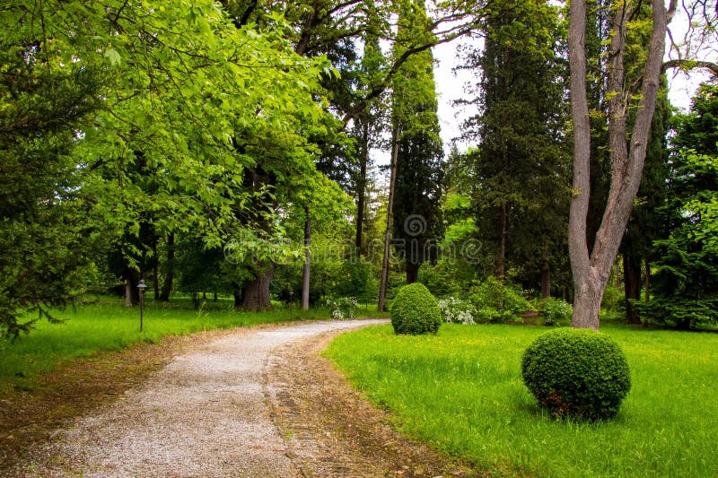 Tranquil Pathway Winds Its Way through a Lush Green Park Stock Image ...