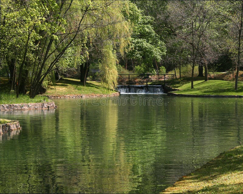 Tranquil Pond stock image. Image of serene, spring, water - 5337355