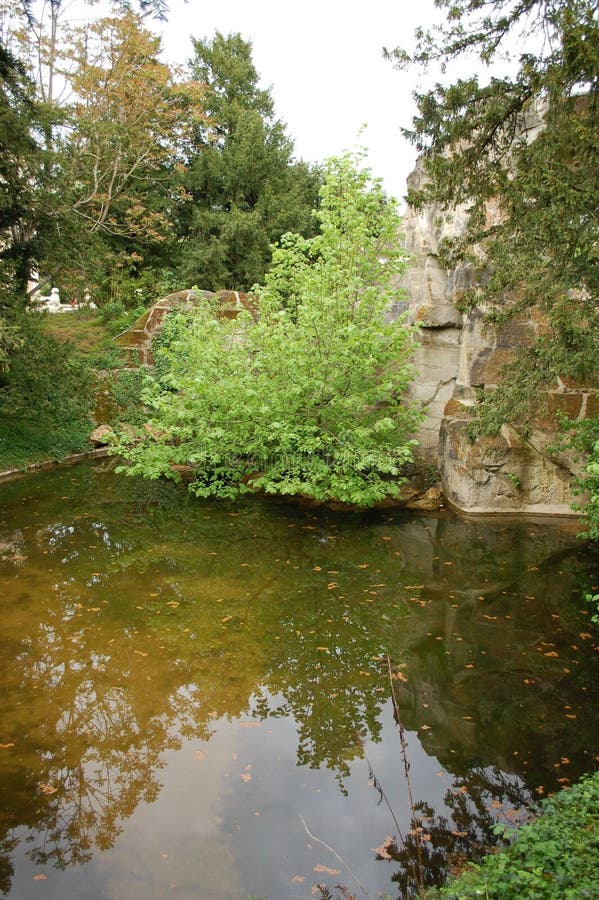 Tranquil Pond with a Lush Backdrop of Trees, Providing a Peaceful and ...