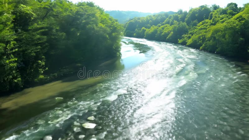 A Tranquil River Flows Gently through Smooth Stones Surrounded by Lush ...