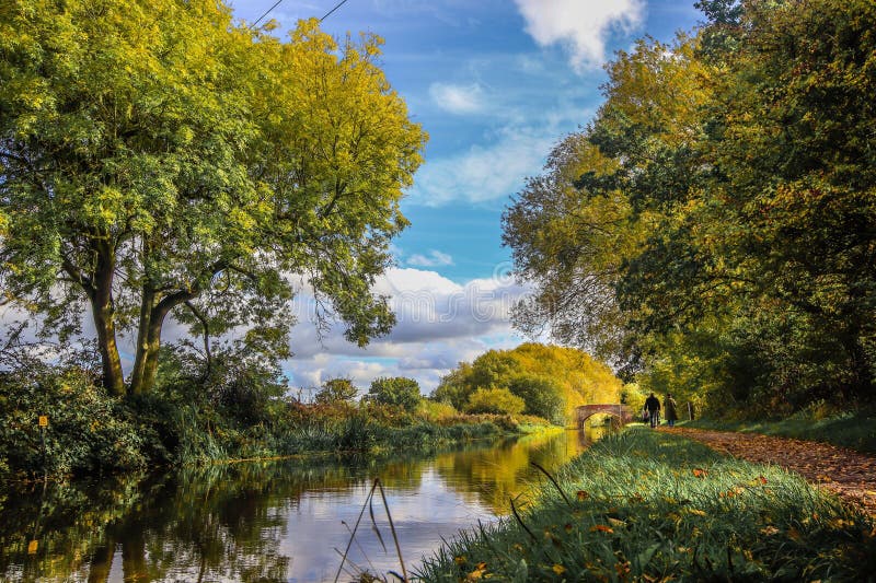 Tranquil River Runs through a Lush Park with Towering Trees. Stock ...