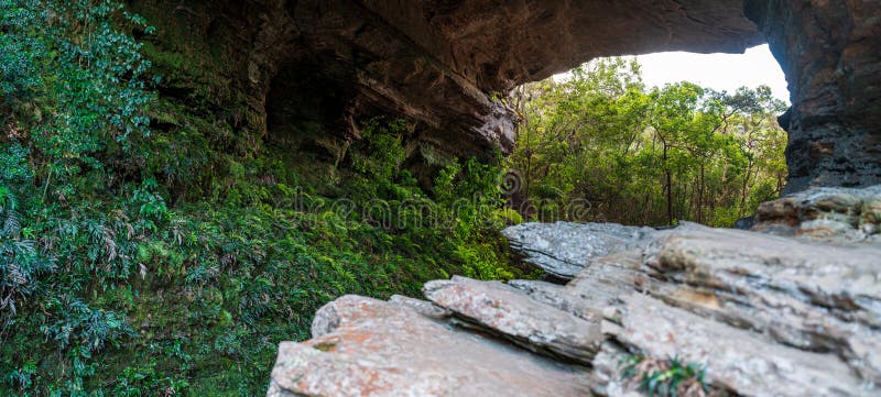 Tranquil Overhang Shelter Surrounded by Dense Greenery Stock Photo ...