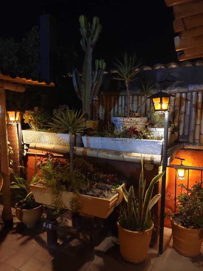 Cozy Peruvian Garden Corner with Cacti: Nighttime Serenity Stock Photo ...