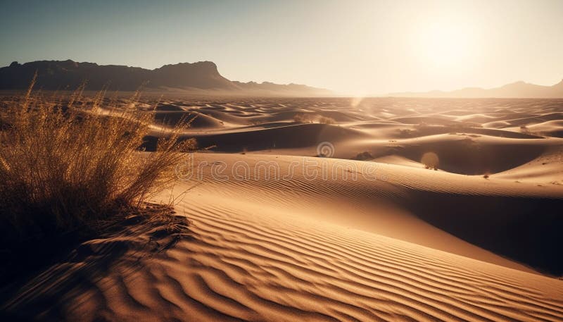 Tranquil Sand Dunes Ripple Under African Sun Generated by AI Stock ...