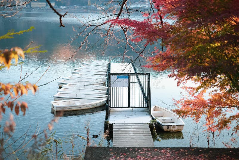 Tranquil Scene of Dock Water and Group of Boats in Autumn Stock Photo ...