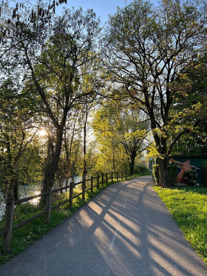 Tranquil Scene of a Pathway Surrounded by Lush Green Trees. Stock Image ...