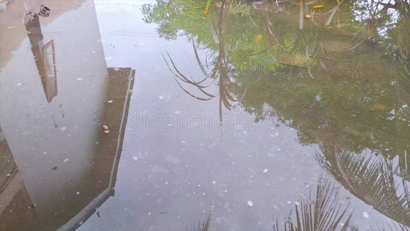 A Tranquil Scene of Reflections in a Puddle after a Rain Shower Stock ...