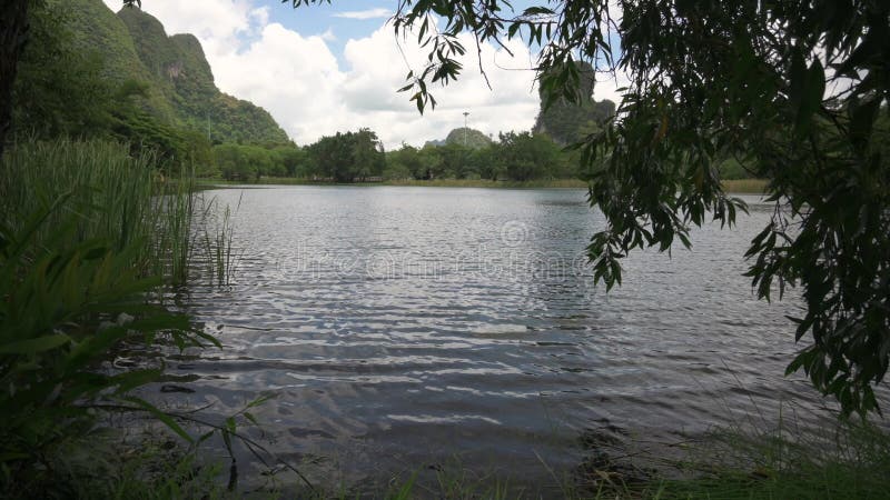 Tranquil Scene of Ripples on the Surface of Natural Pond from the Wind ...