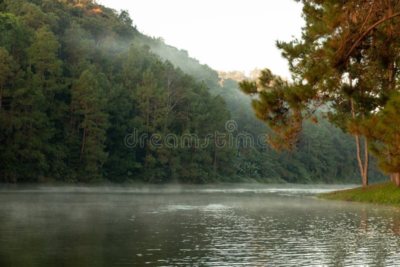 Tranquil Scenery of Lakeside Forest Stock Image - Image of autumn ...