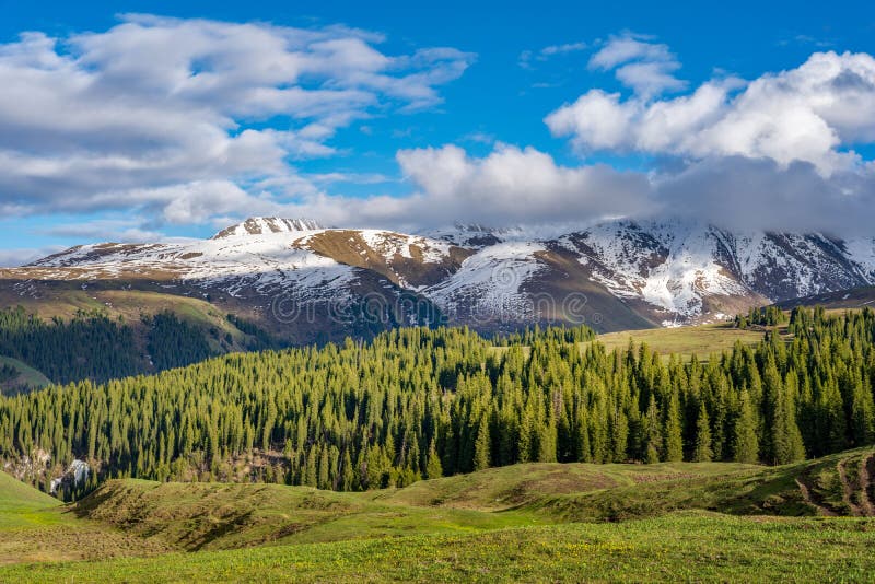 Tranquil Scenery of Vast, Green Meadows and Mountains in Harmony Stock ...