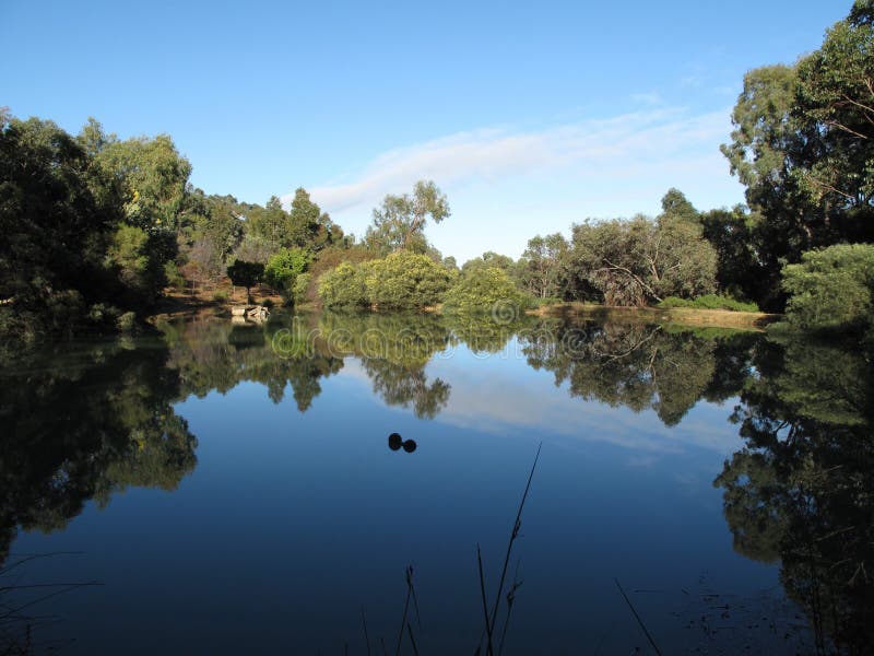 Tranquil Setting stock image. Image of lake, australia - 15927457