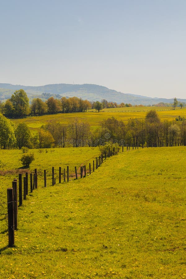 Tranquil Spring Meadow with Rolling Hills and Fence Line Under a Blue ...