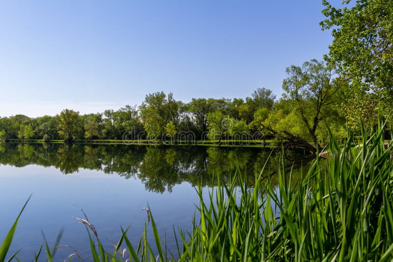 Tranquil spring pond stock photo. Image of season, farm - 131627804